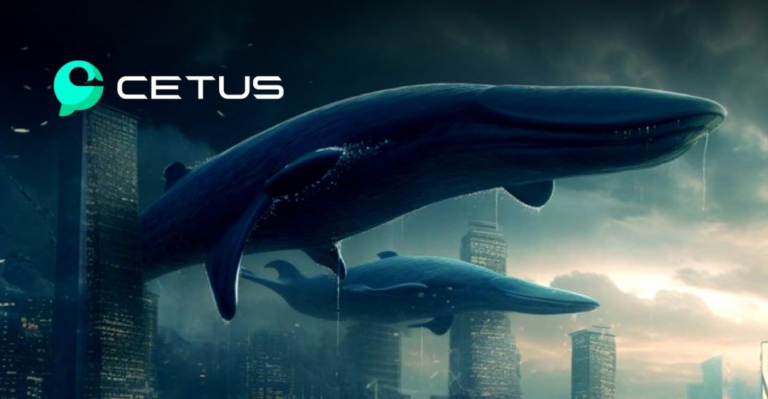 Cetus：一文解讀同時上鏈 Sui、Aptos 的高效流動性協議 | 動區動趨-最具影響力的區塊鏈新聞媒體